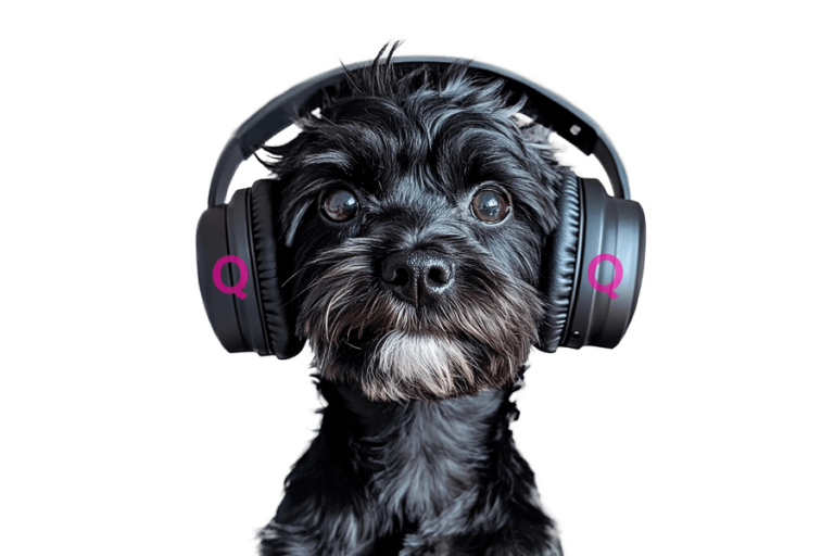 Find a Merchant near me - Q Cards